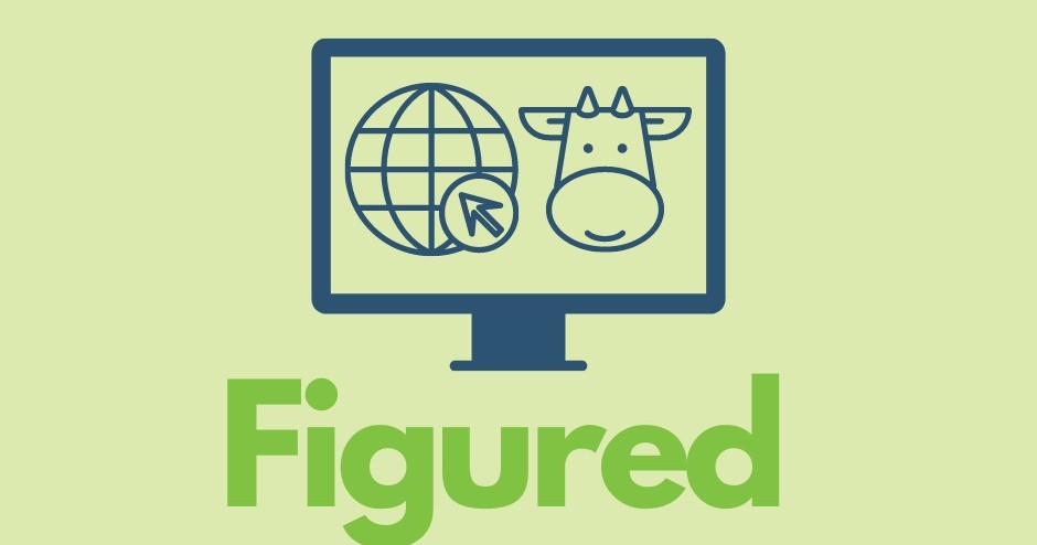 Xero Tip - Figured » McIntyre Dick and Partners